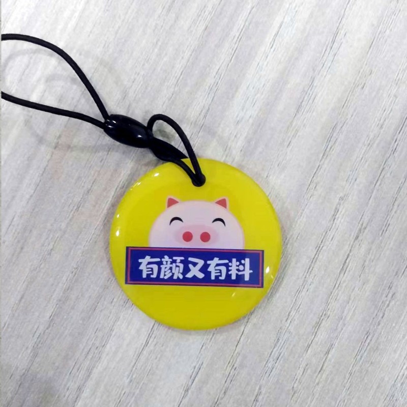 Epoxy-Encapsulated IC-CUID Backup Card