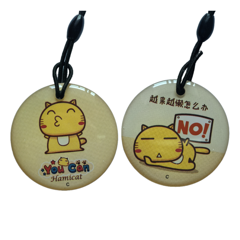 Epoxy-Encapsulated IC-CUID Backup Card